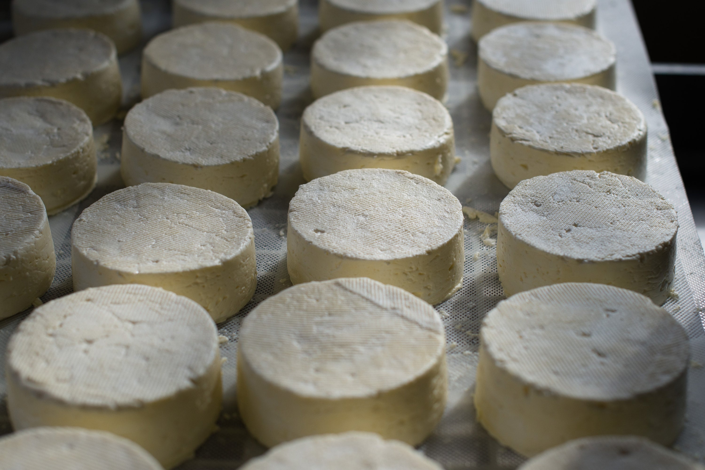 How is cheese made? Step by step guide to cheese making – Cheeses of ...